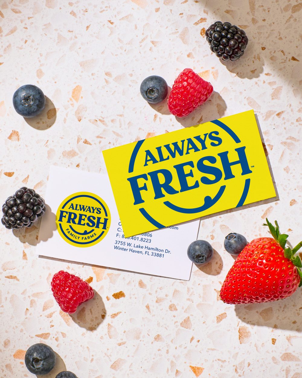Always Fresh - Brand Creation, Strategy & Packaging Design